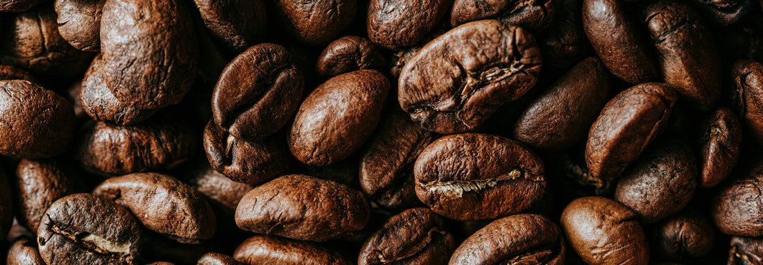 Premium Blends – Dodo Coffee Co